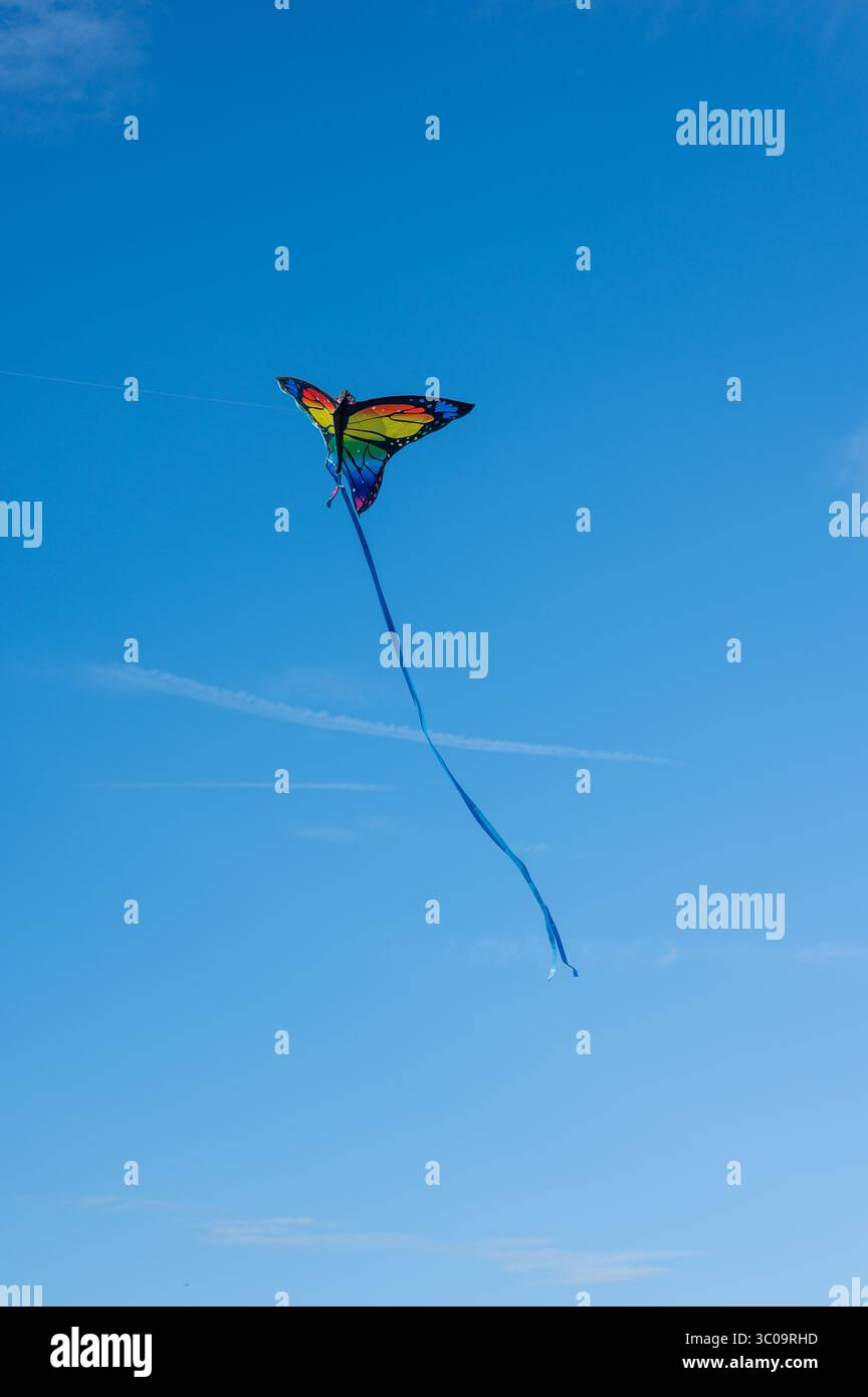 Butterfly holding air hi-res stock photography and images - Alamy