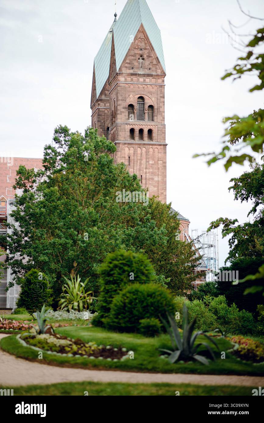 Community garden lush plants hi-res stock photography and images - Alamy
