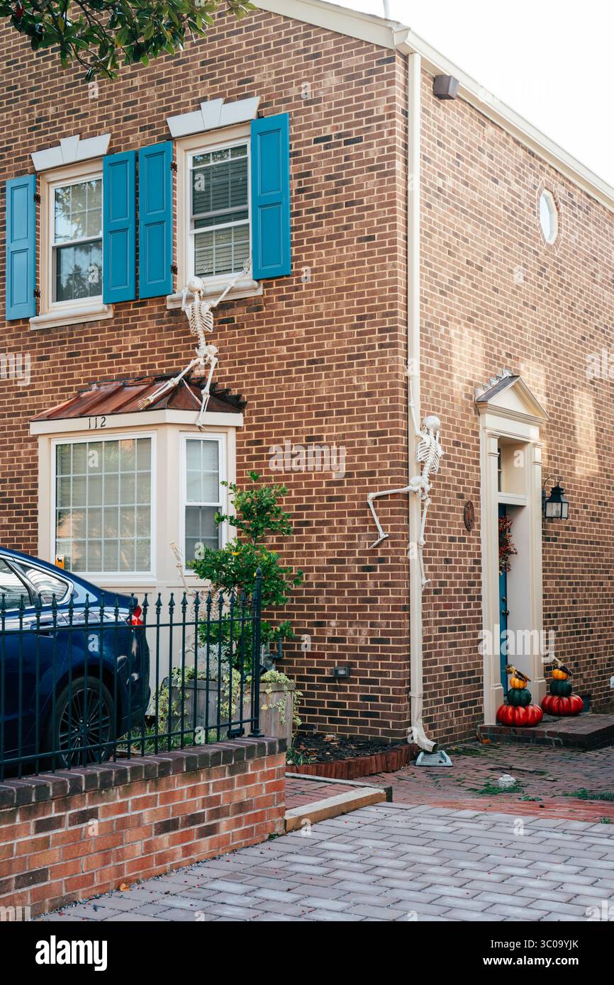 In Alexandria, Virginia, skeleton props are displayed creatively on the ...