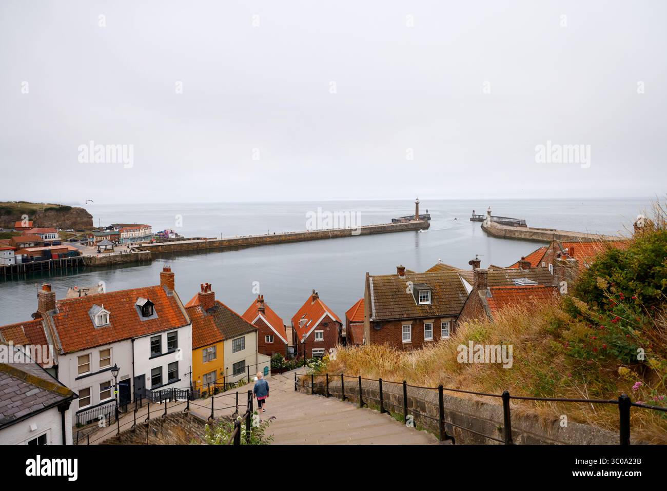 Whitby, North Yorkshire, England. - 12 July 2025 Picture by Andrew ...