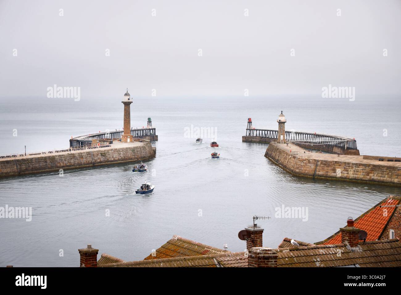 Whitby, North Yorkshire, England. - 12 July 2025 Picture by Andrew ...