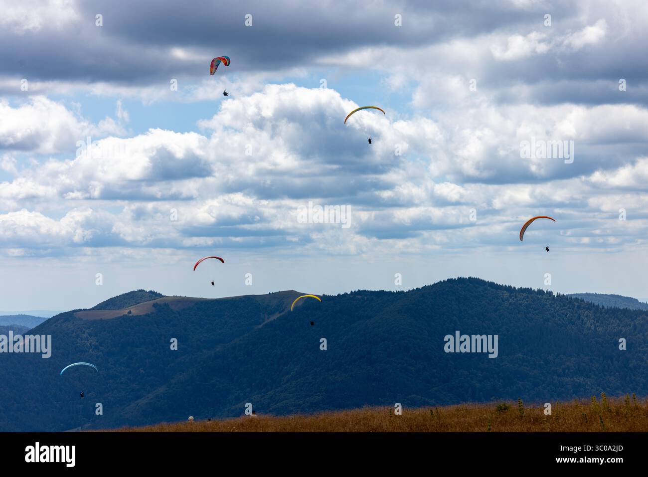 View of colorful paragliders dancing against a backdrop of rolling ...