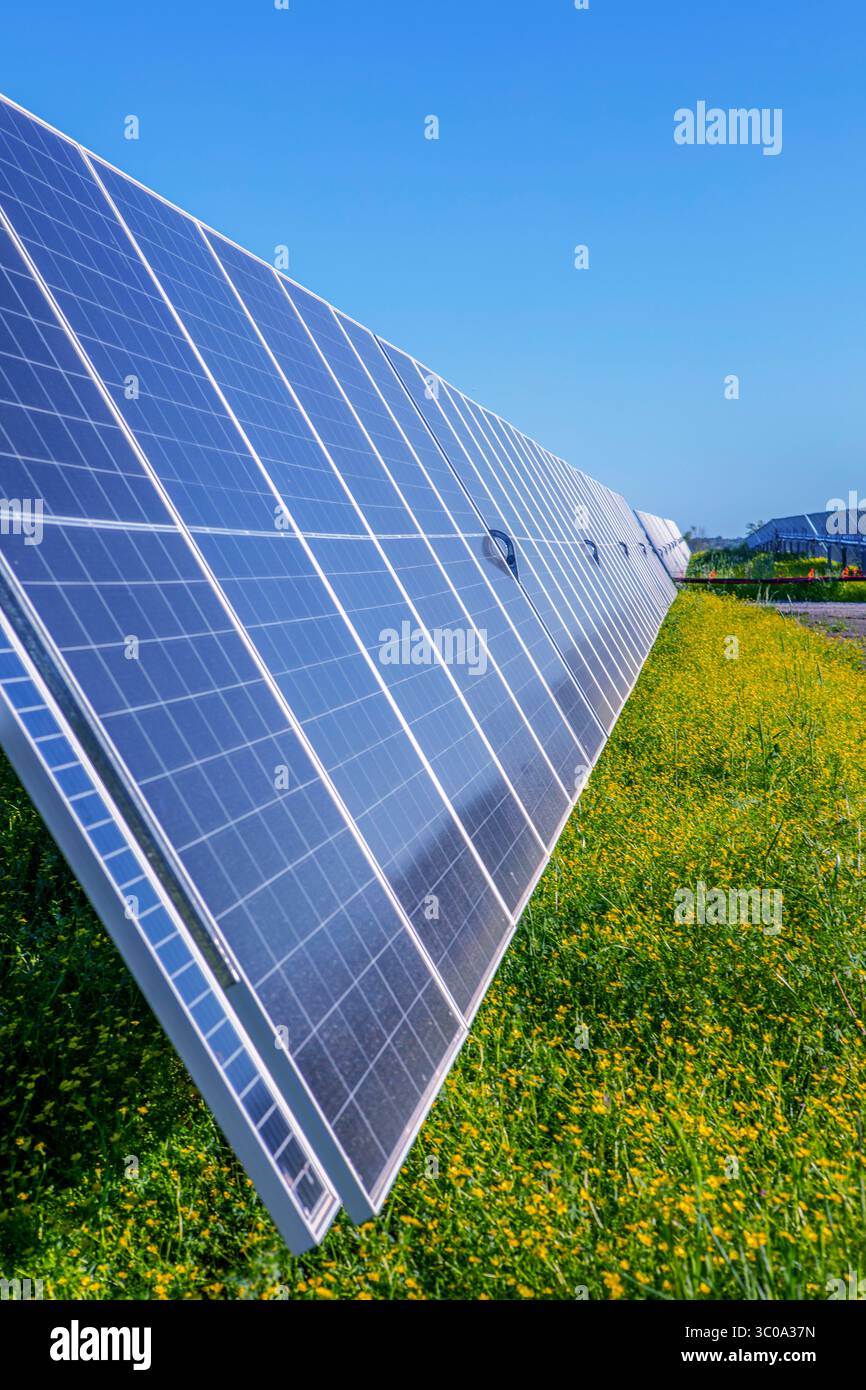 Solar farm in central Louisiana Stock Photo - Alamy