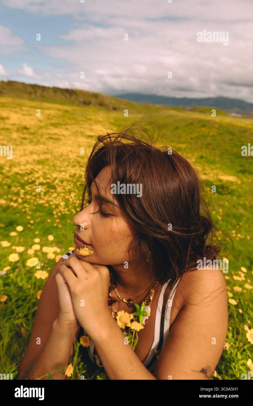 Close up blooming daisy hi-res stock photography and images - Alamy