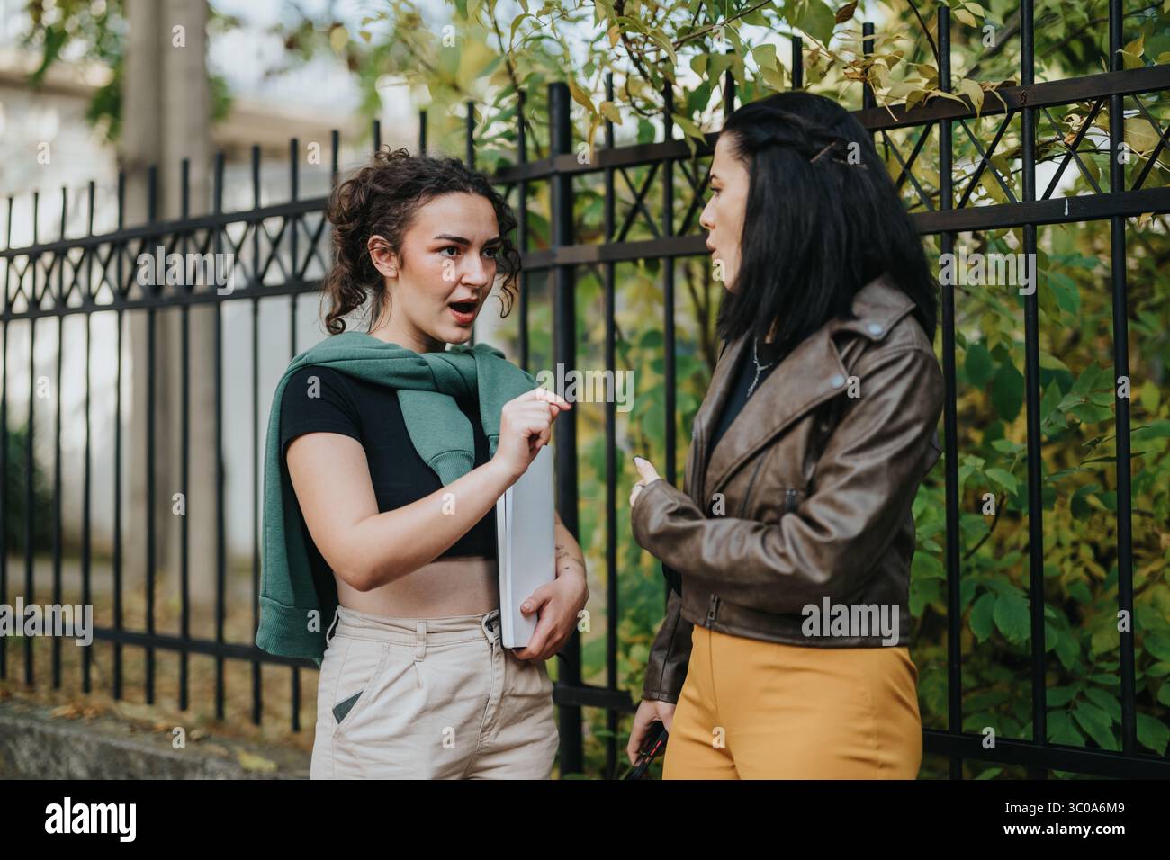 Two friends engaged in a lively conversation outdoors by an iron fence ...