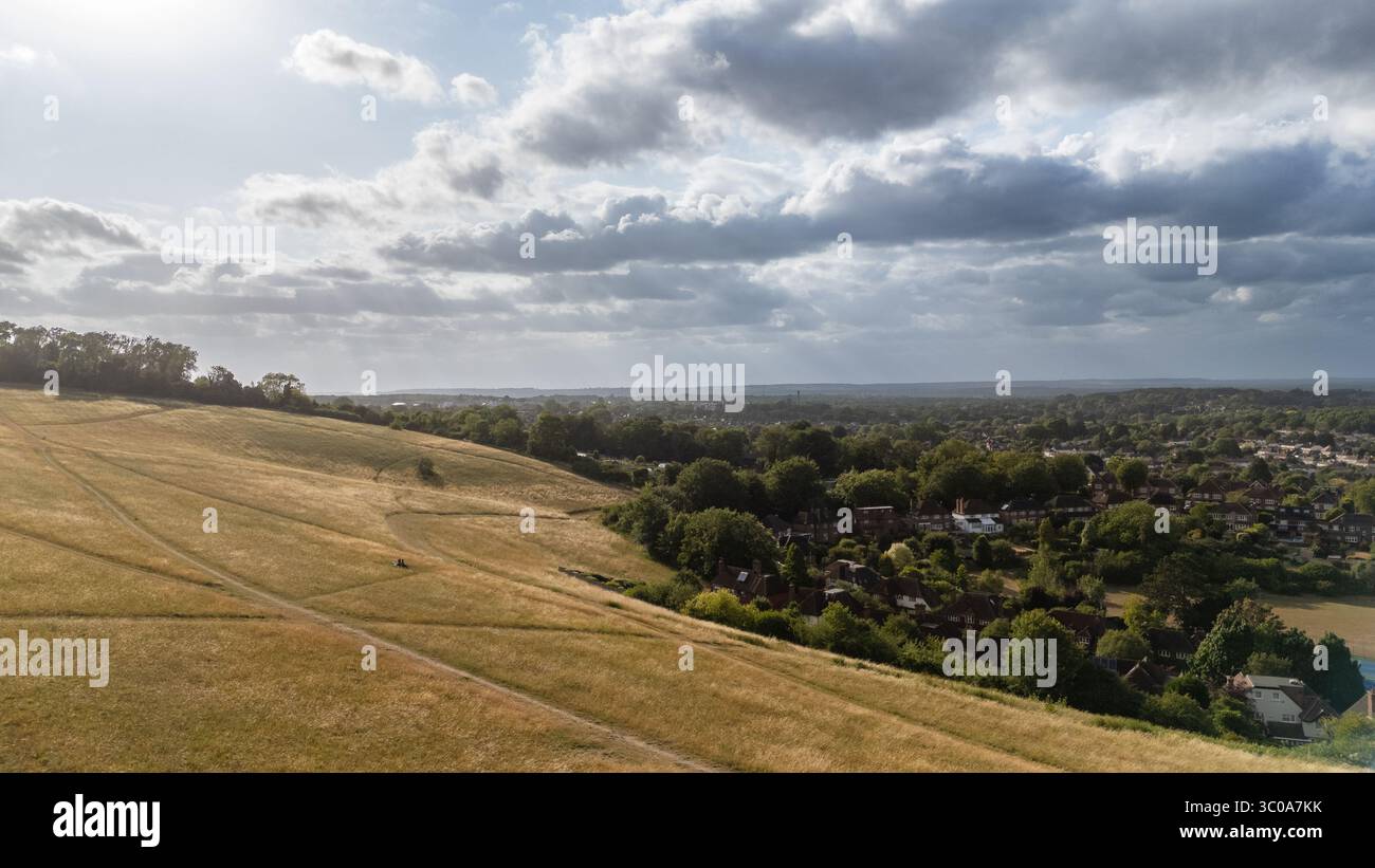 Aerial view of sun-kissed grassy fields meet verdant trees, with the ...
