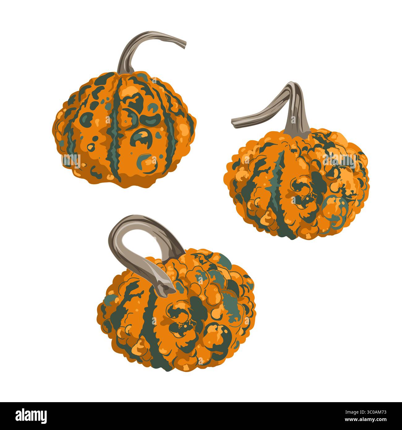 Set of funny small decorative pimpled pumpkins isolated on white ...