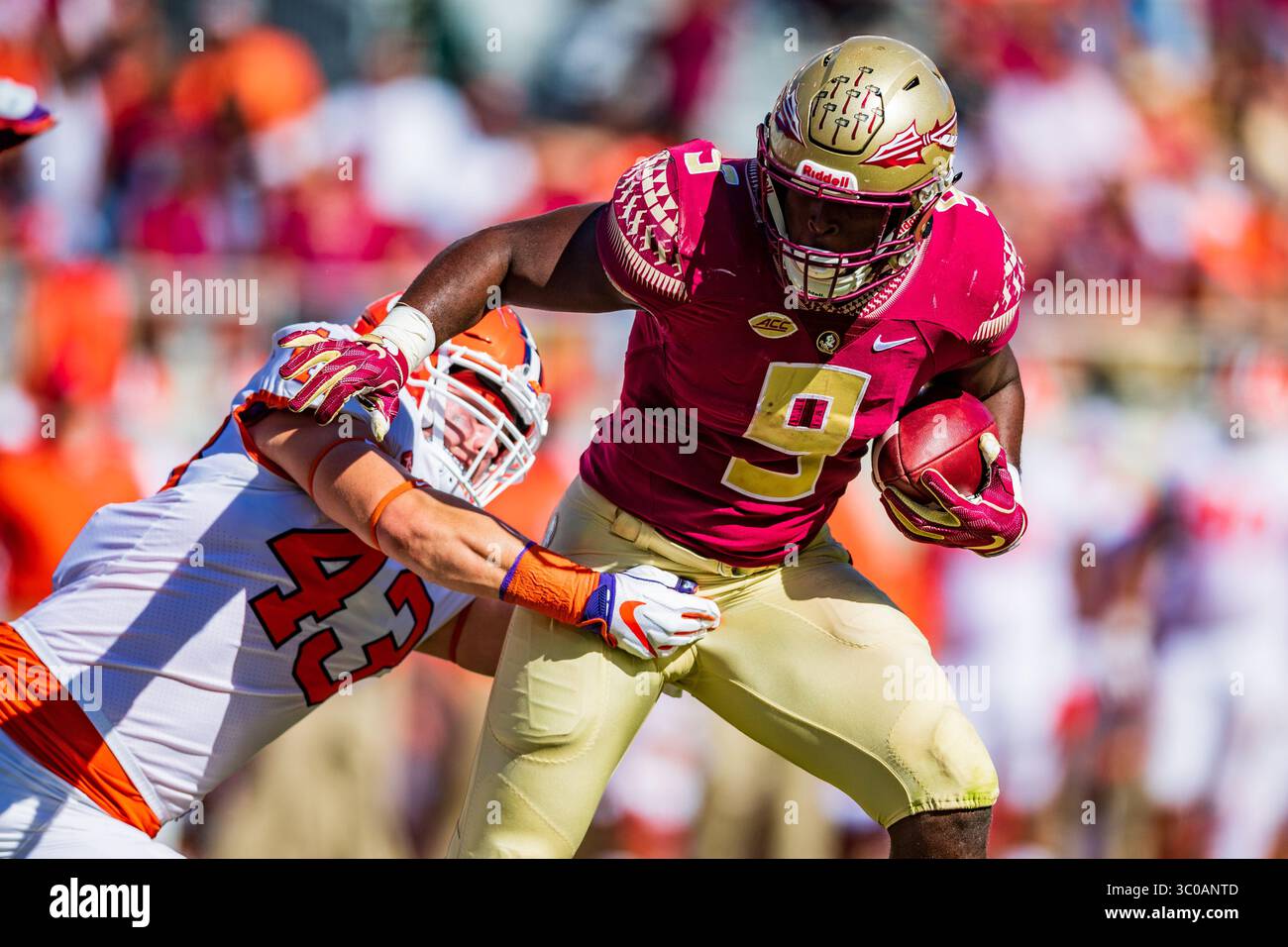Florida State Seminoles running back Jacques Patrick (9) during the ...