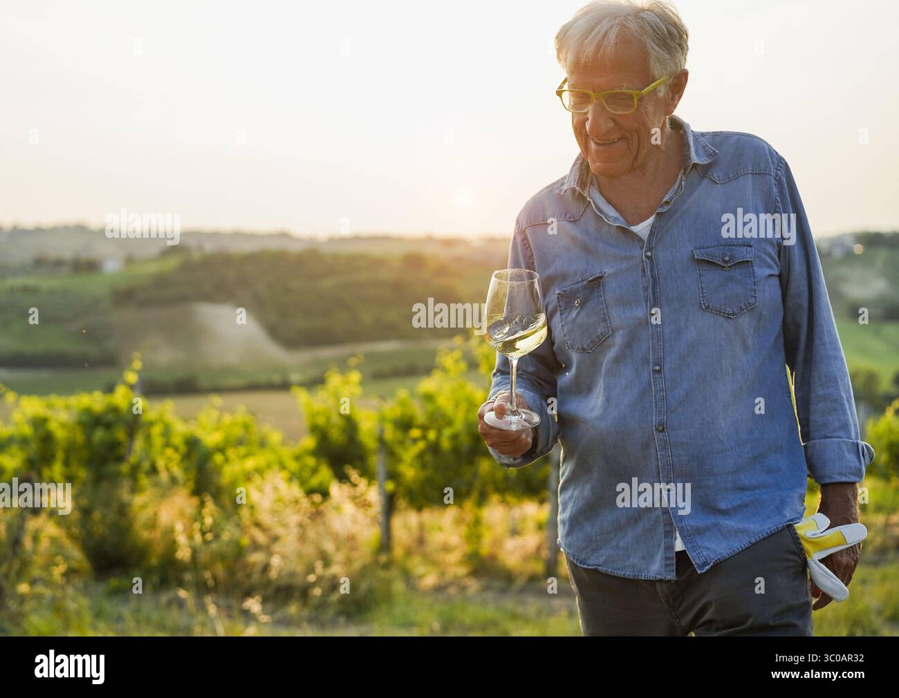 Wine producer man tasting the product after harvest and grape ...