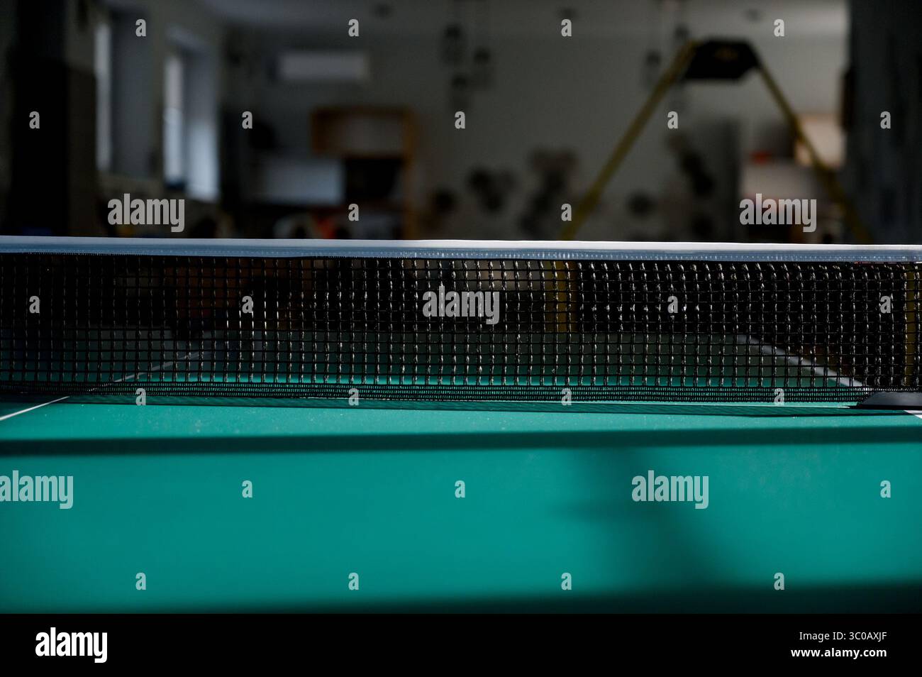 Interior of an entertainment room, tennis or ping-pong table details ...