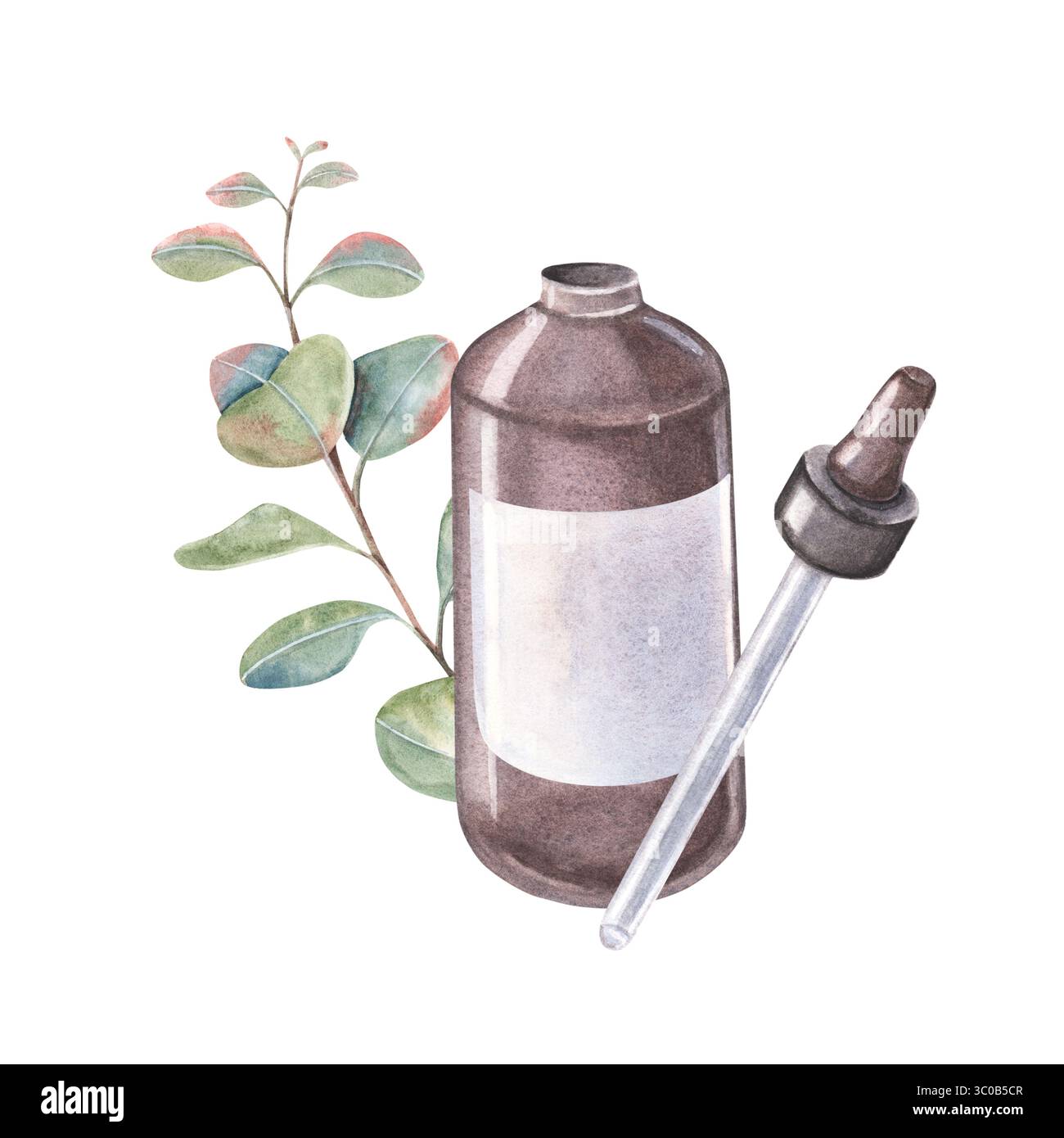 Apothecary leaf art Cut Out Stock Images & Pictures - Alamy