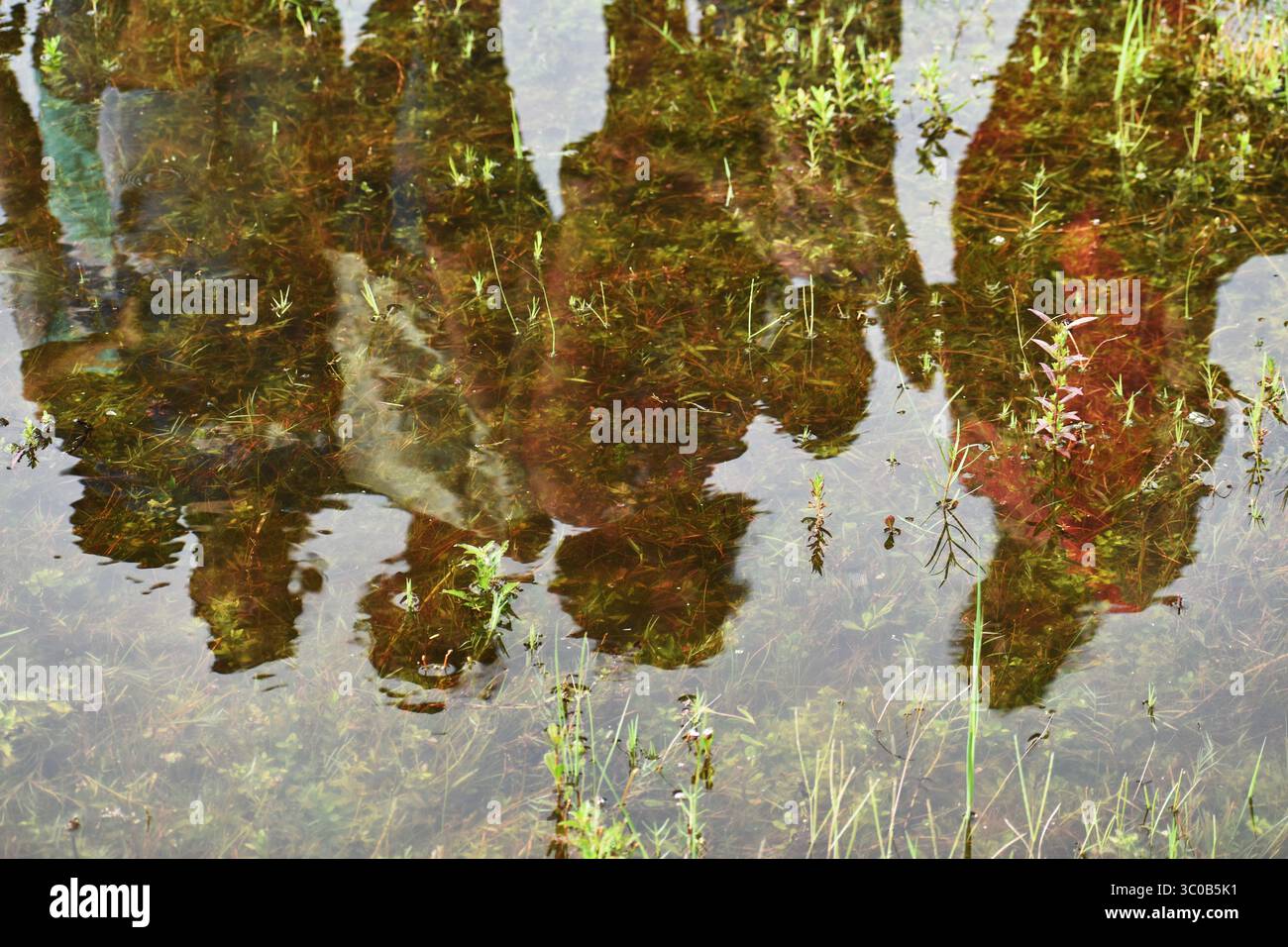 Pond water waves hi-res stock photography and images - Alamy