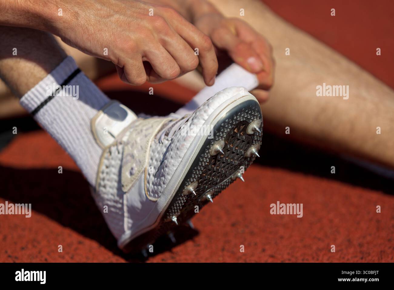 Athlete fastening shoelaces on spiked running shoes on track ground ...