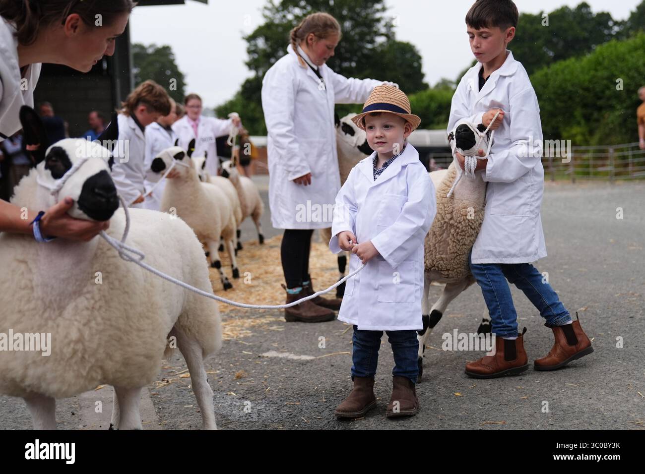 Children wait to show their Kerry Hill sheep during the Royal Welsh ...