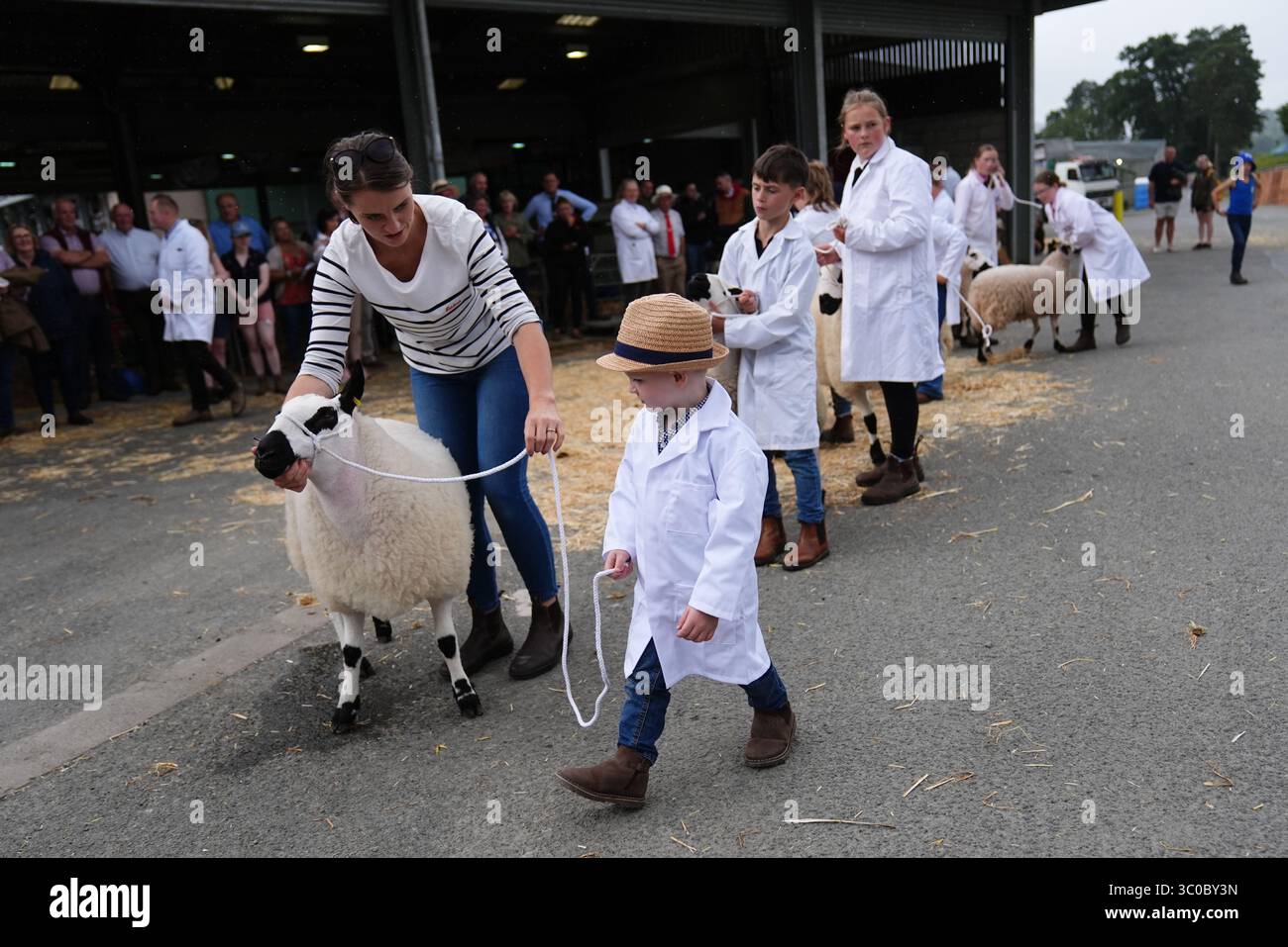 Children wait to show their Kerry Hill sheep during the Royal Welsh ...