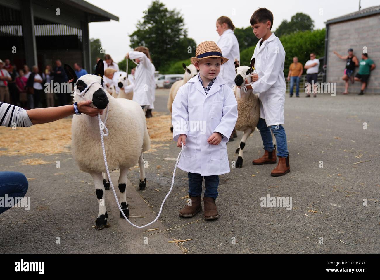Children wait to show their Kerry Hill sheep during the Royal Welsh ...