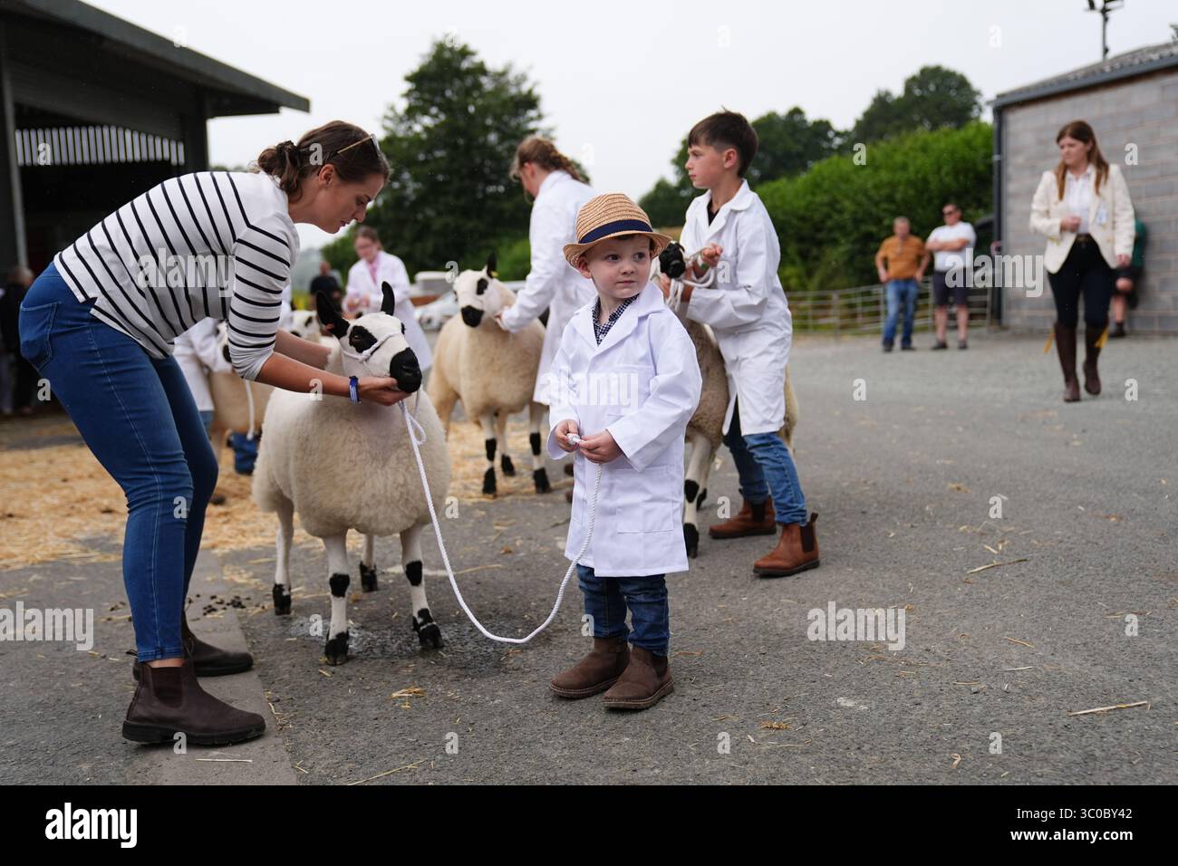Children wait to show their Kerry Hill sheep during the Royal Welsh ...