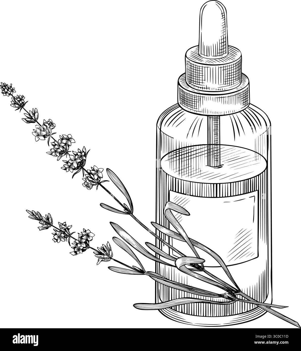 Cosmetic oil dropper in Stock Vector Images - Alamy