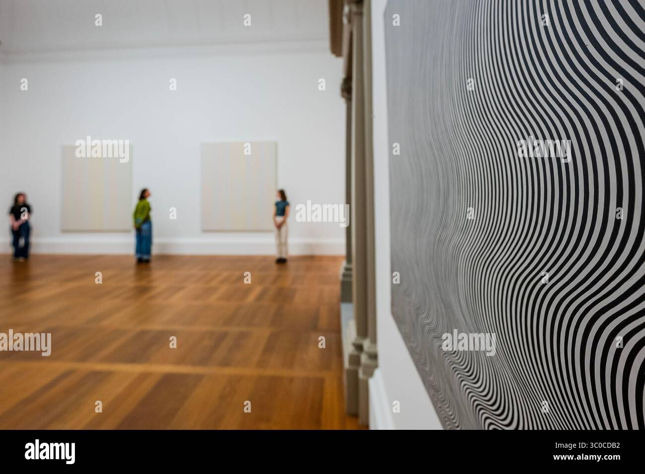 London, UK. 21 Jul 2025. A new display of Bridget Riley’s at teh Tate ...