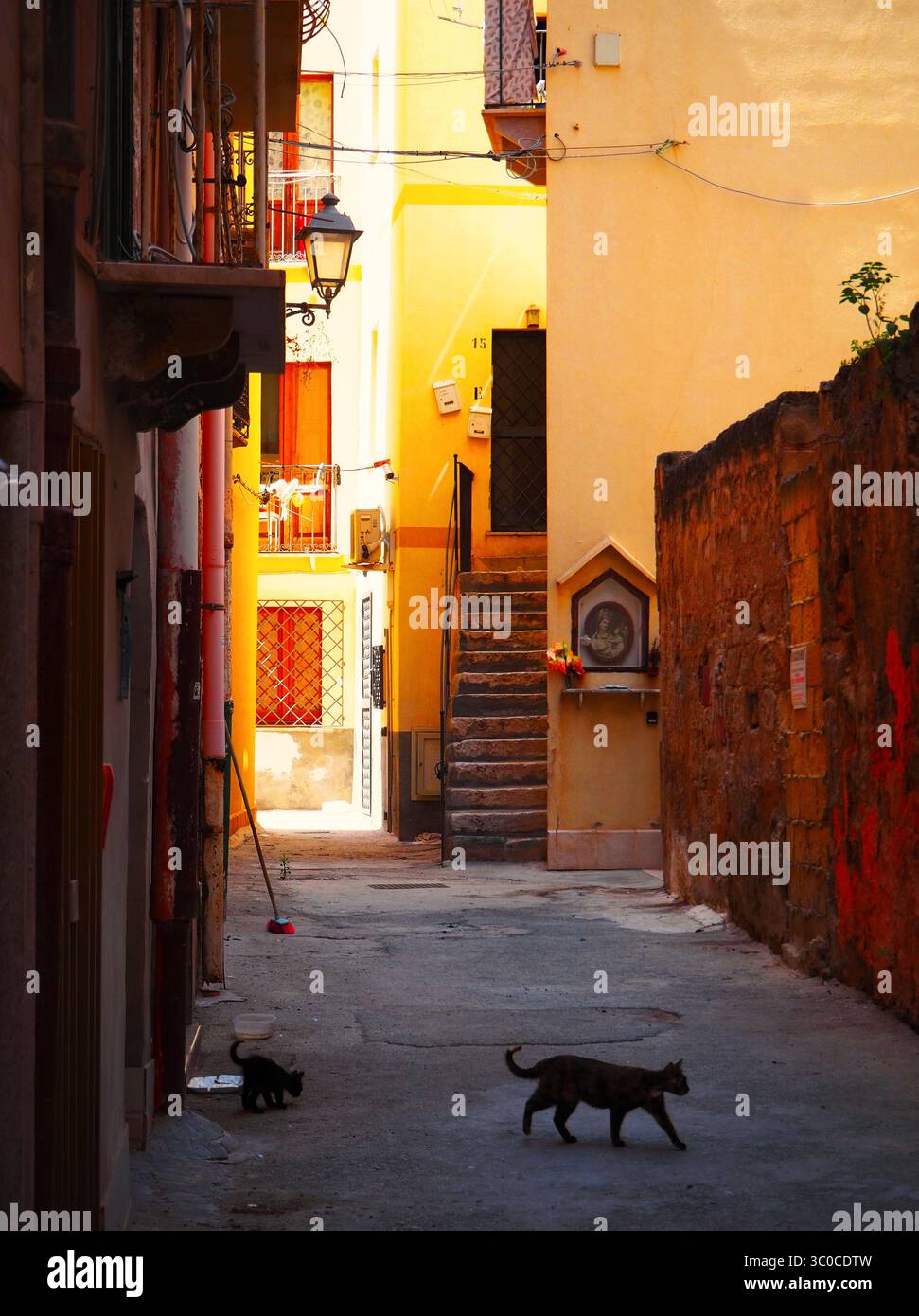 Alley of the cats hi-res stock photography and images - Alamy