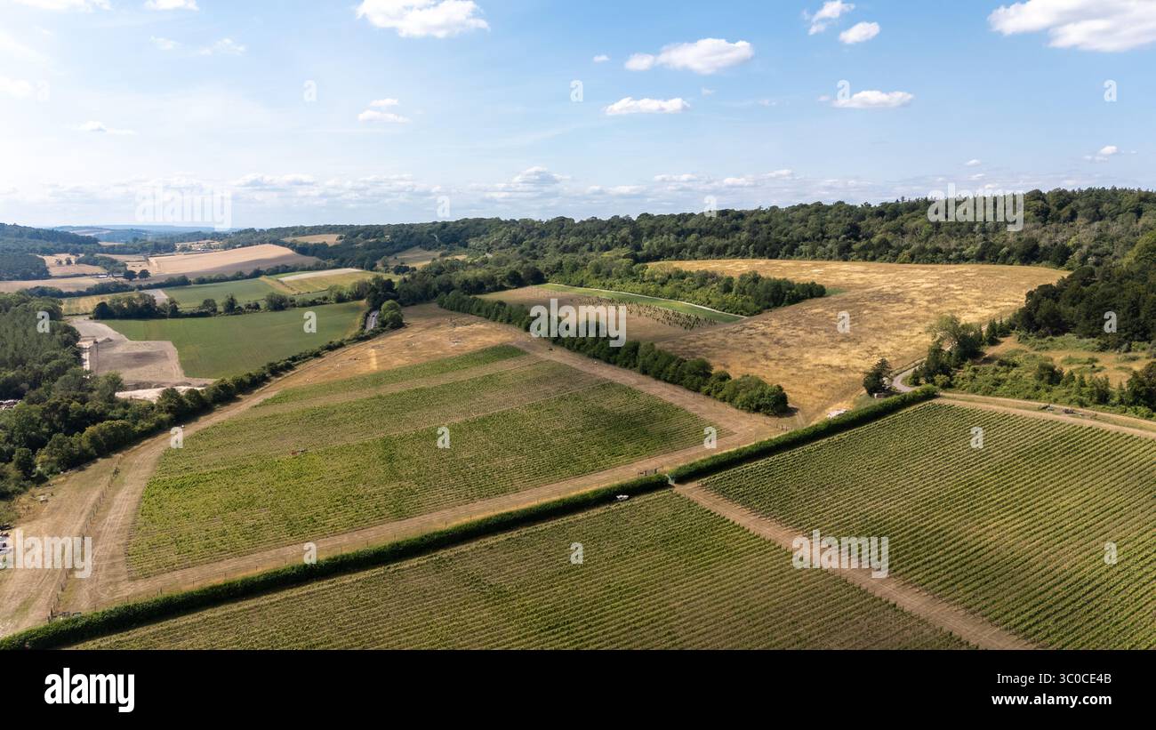 Aerial view of sun-kissed fields meet dense woodlands under a vast sky ...