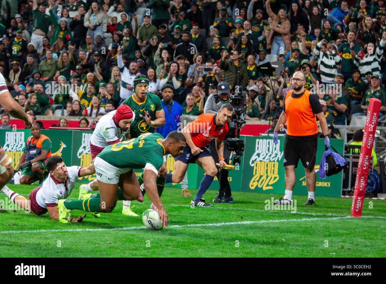Damian willemse springboks hi-res stock photography and images - Alamy
