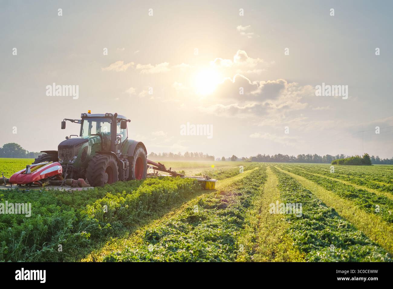 Tractor mowing clover in green field for fresh animal feed, showing ...
