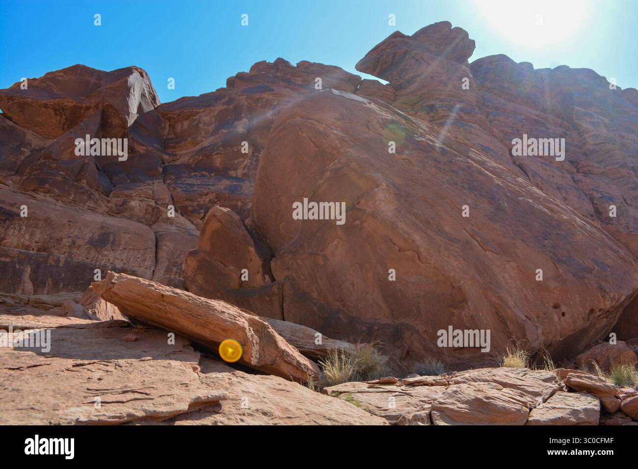 Petroglyphs carved just below the Courthouse Wash Pictograph Panel ...
