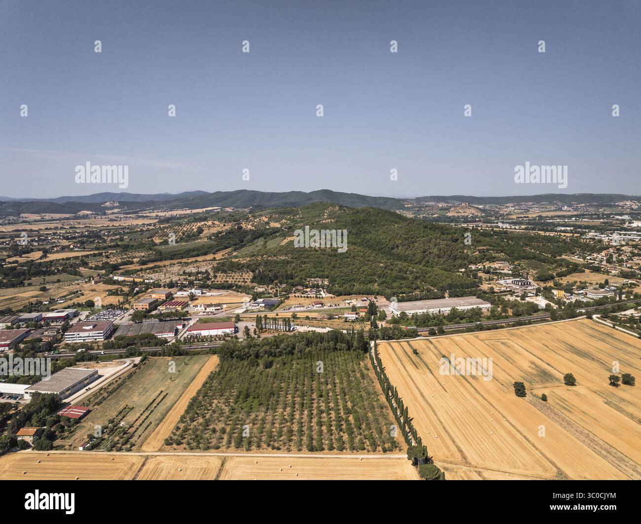 Aerial view of sun-drenched fields of golden wheat contrast against the ...
