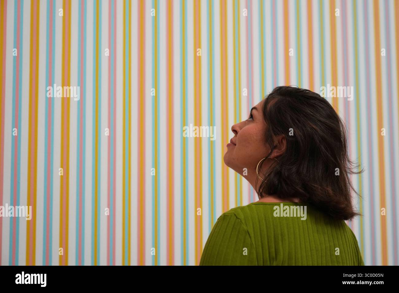 A member of staffs looks at the Concerto I, painted by Bridget Riley in ...