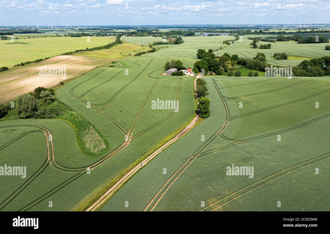 Aerial view of textured agricultural land with winding pathways and ...