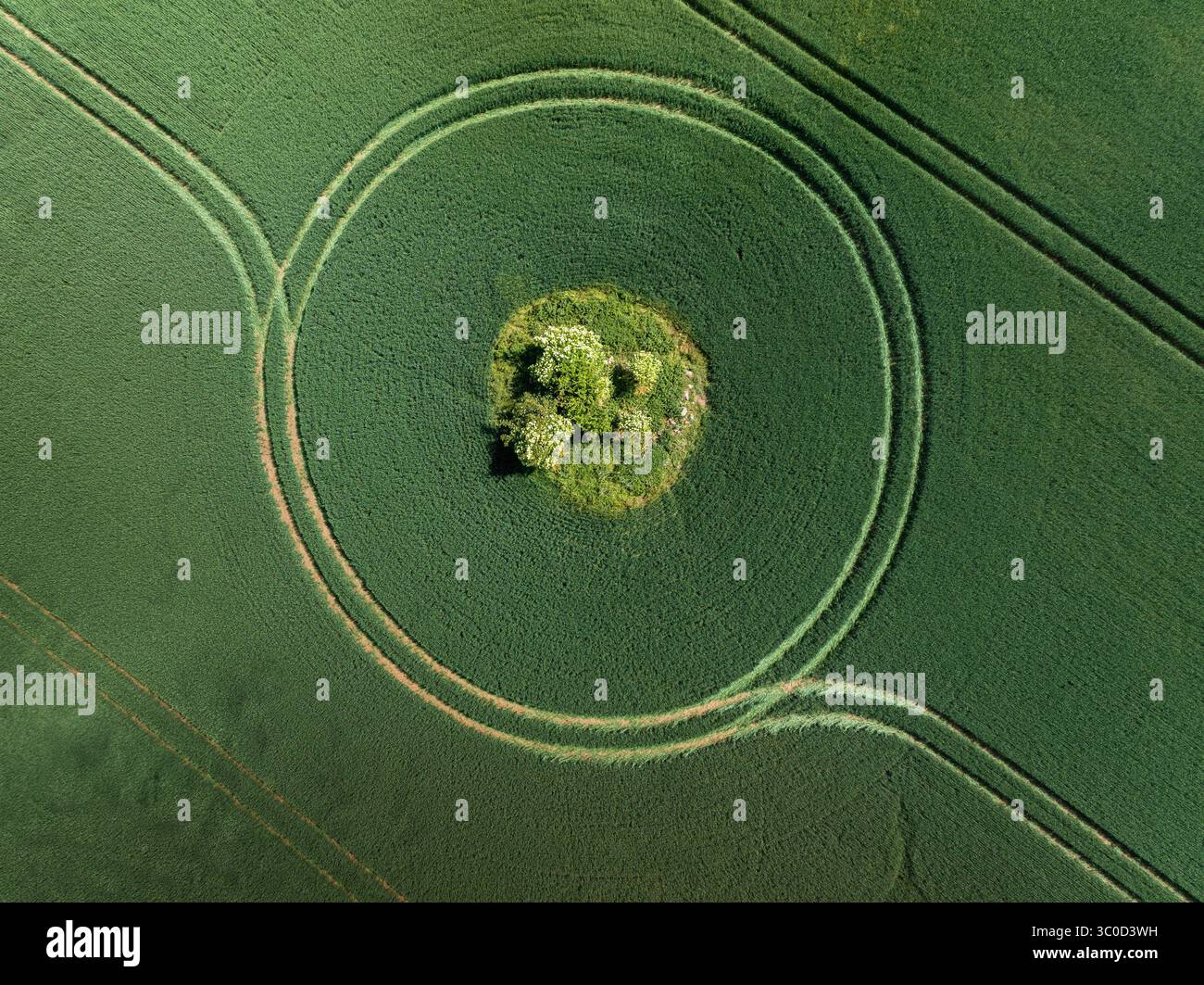 Aerial view of a vibrant green field, where a small circular patch of ...