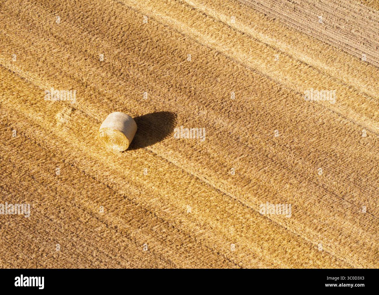 Aerial view of a solitary hay bale casting a shadow on the golden ...