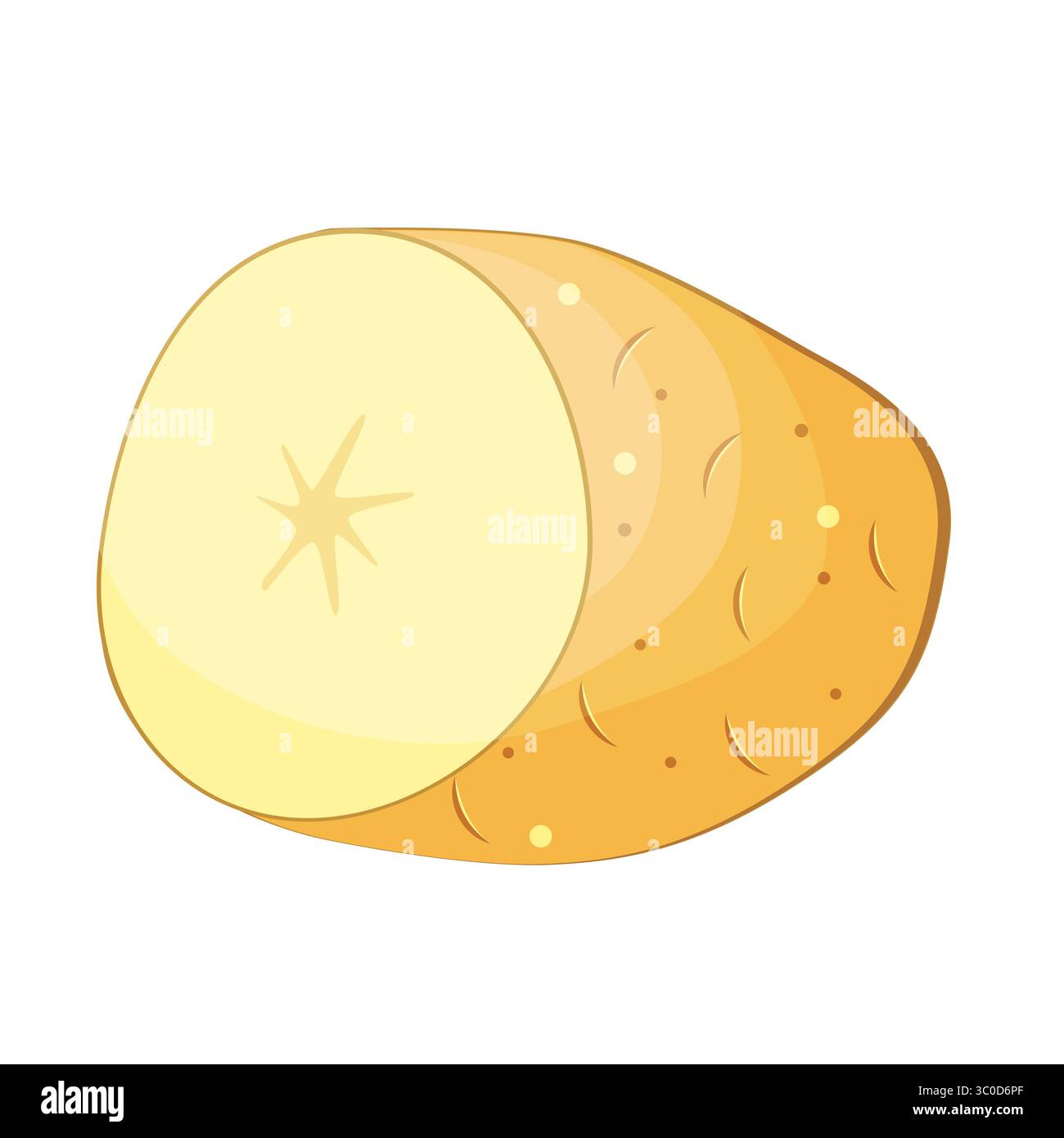 hand drawn cross-section of potato on white background Stock Vector ...