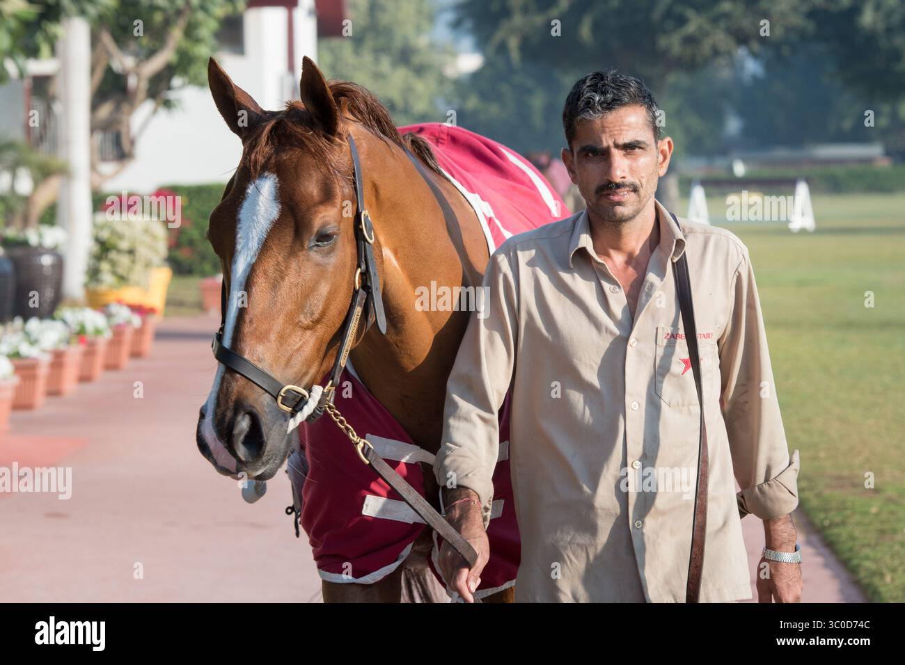 January 9, 2017 - Dubai, Dubai, UAE - United Arab Emirates - Portrait ...
