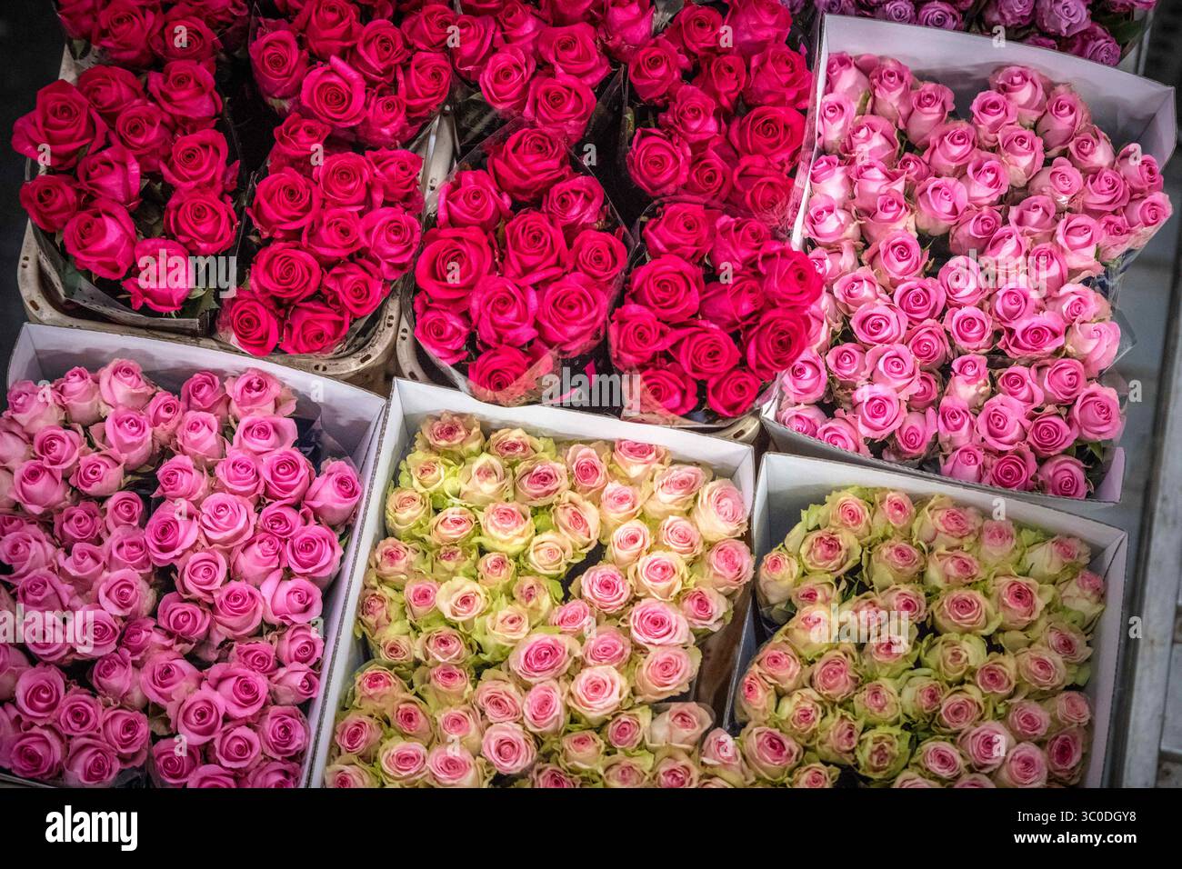 March 16, 2018 - Aalsmeer, Georgia, Netherlands - A cart full of ...