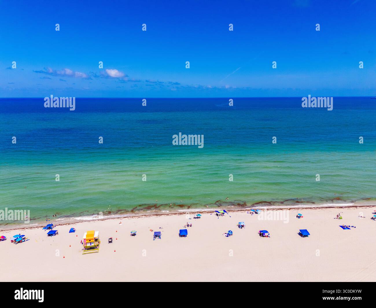Summertime Miami Beach scene 2025 Sargassum. Aerial photo print Stock ...
