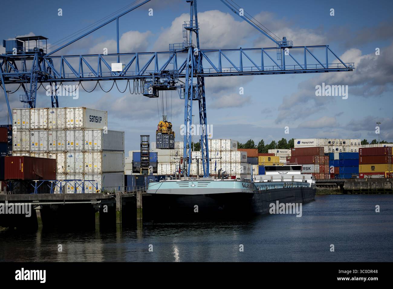 ROTTERDAM - Containers in the Waalhaven. Cargo handling and the ...