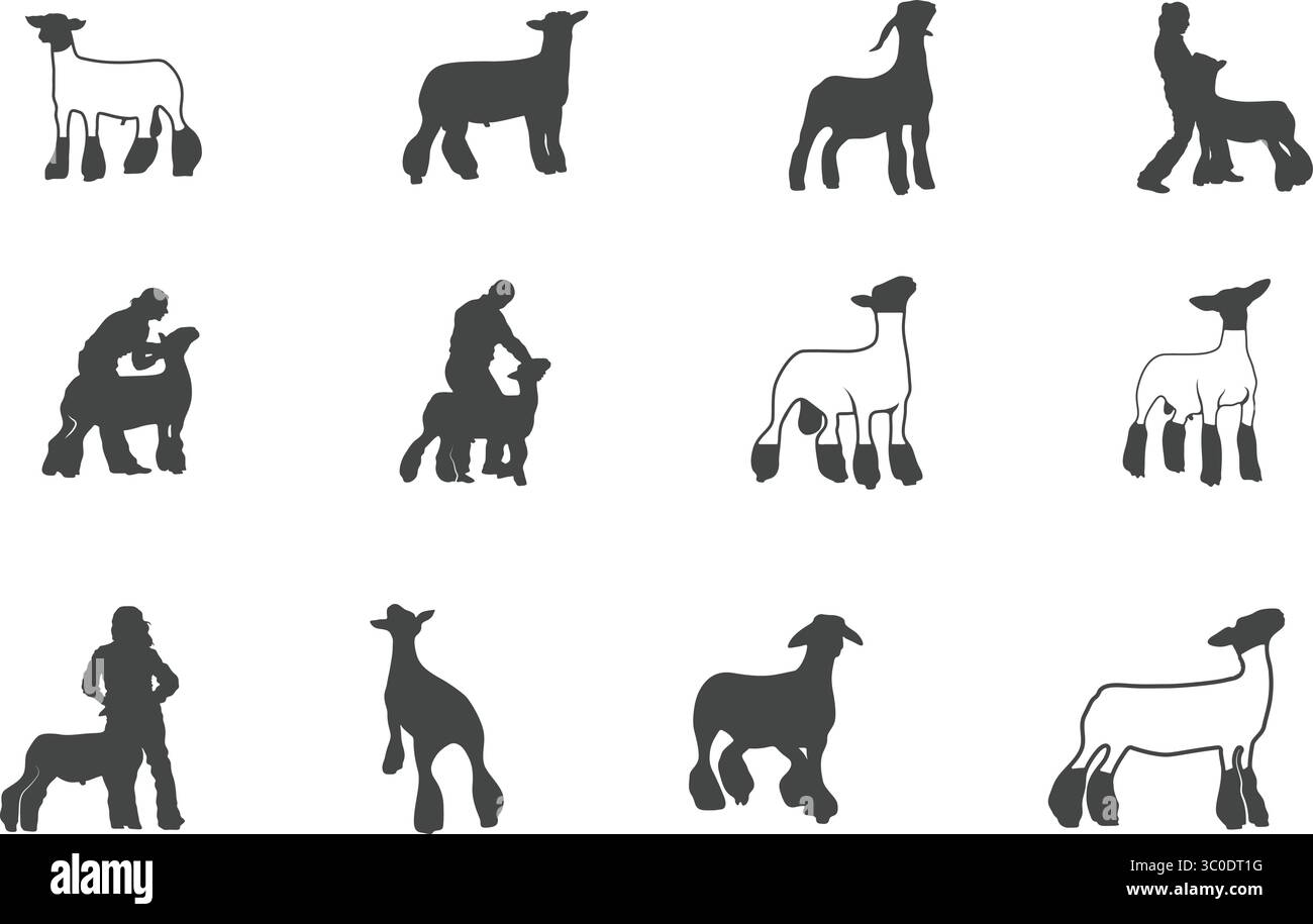 Show Lamb Svg, Show Sheep Svg, Show Lamb Silhouette, Show Sheep Svg ...