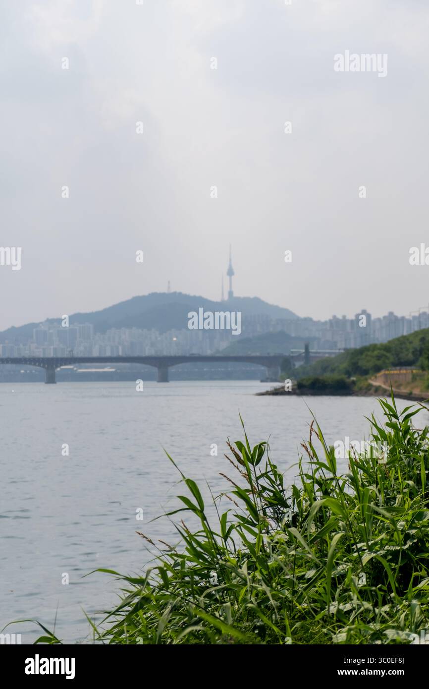 View of N Seoul Tower with Seongsu Bridge and Han river on the fore ...
