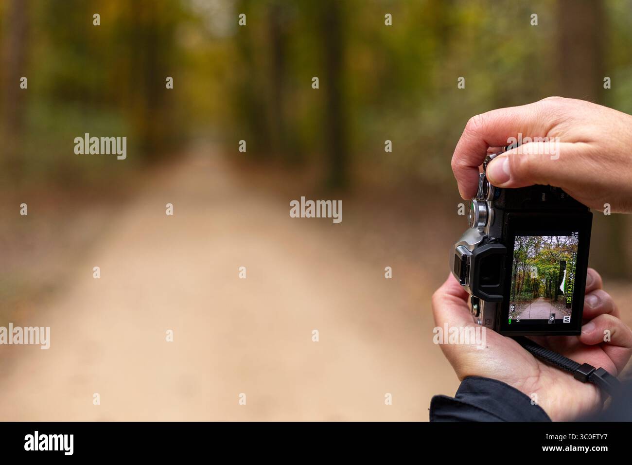 A photo enthusiast is trying out a new mirrorless camera in a public ...