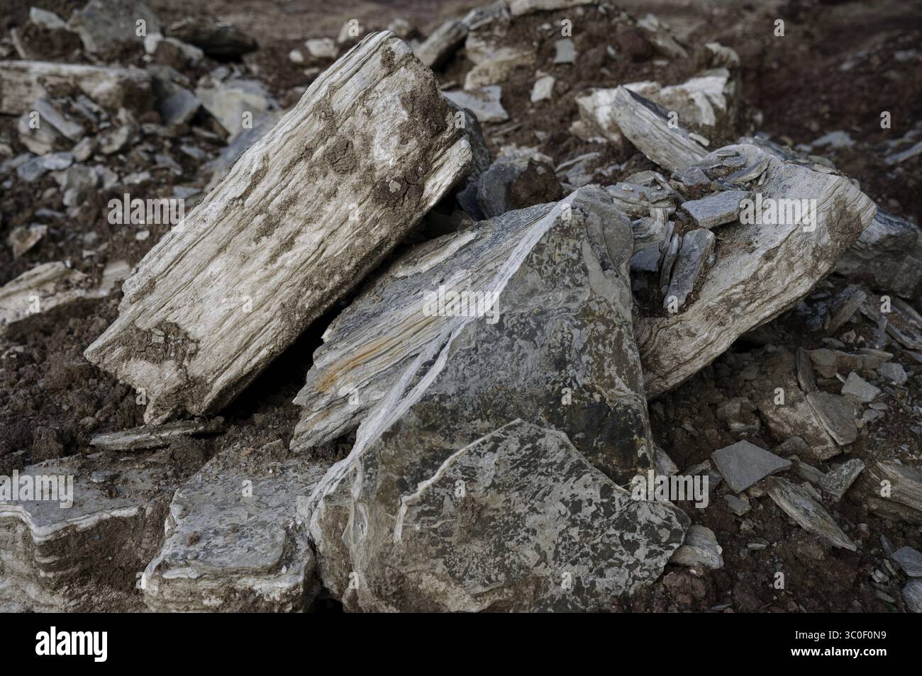 Gypsum, gypsum quarry, earthworks, construction work, quarry, history ...