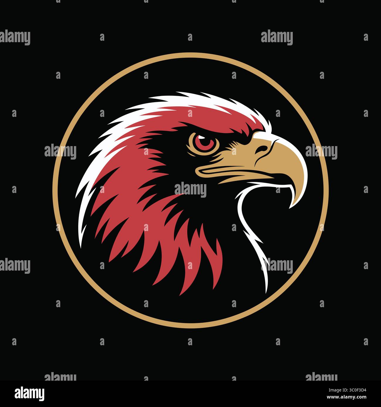 Profile showcasing Stock Vector Images - Alamy