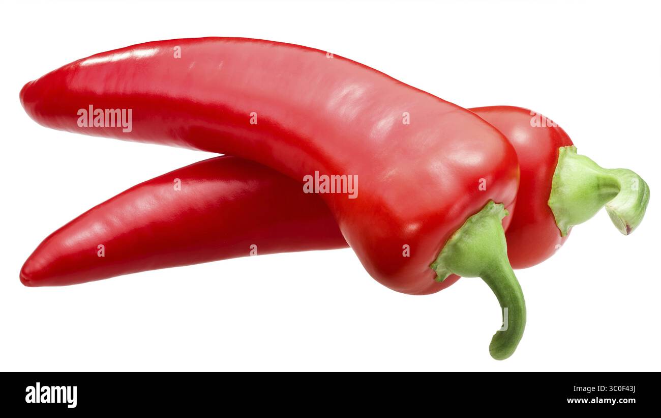 Red chile peppers (Capsicum annuum fruits), whole ripe pods crossed ...