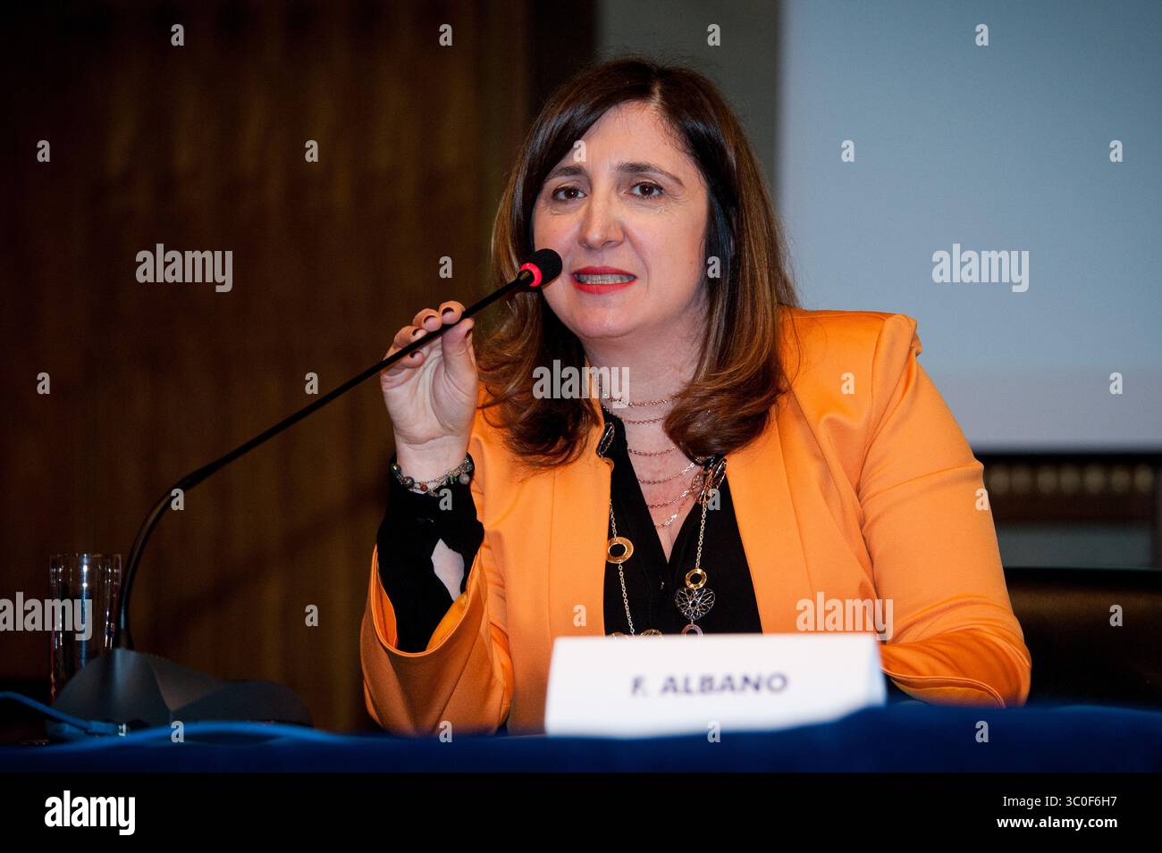 Filomena Albano, Garante per l'infanzia, alla conferenza stampa del ...