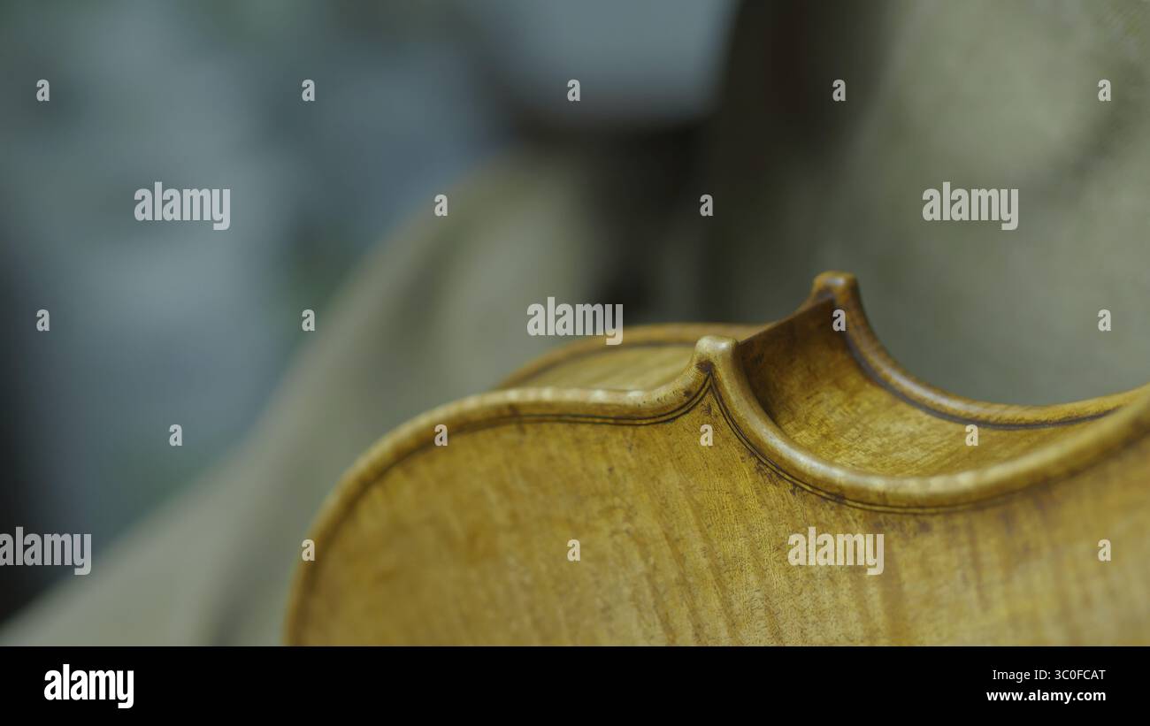 Detailed view of a violin's wooden curve showcasing its fine ...
