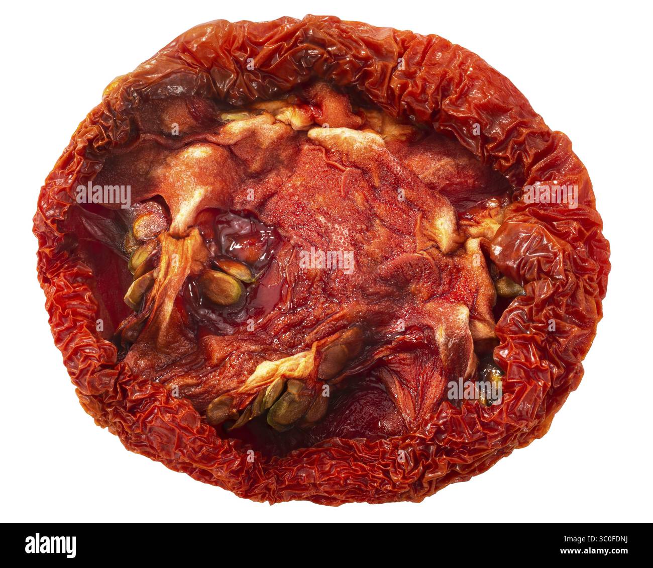 The sun photography Cut Out Stock Images & Pictures - Alamy