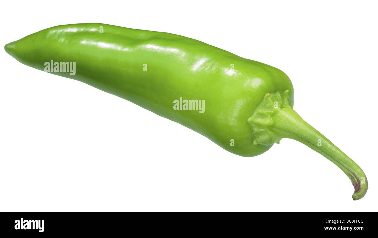 Green chile pepper (Capsicum annuum), whole pod Stock Photo - Alamy