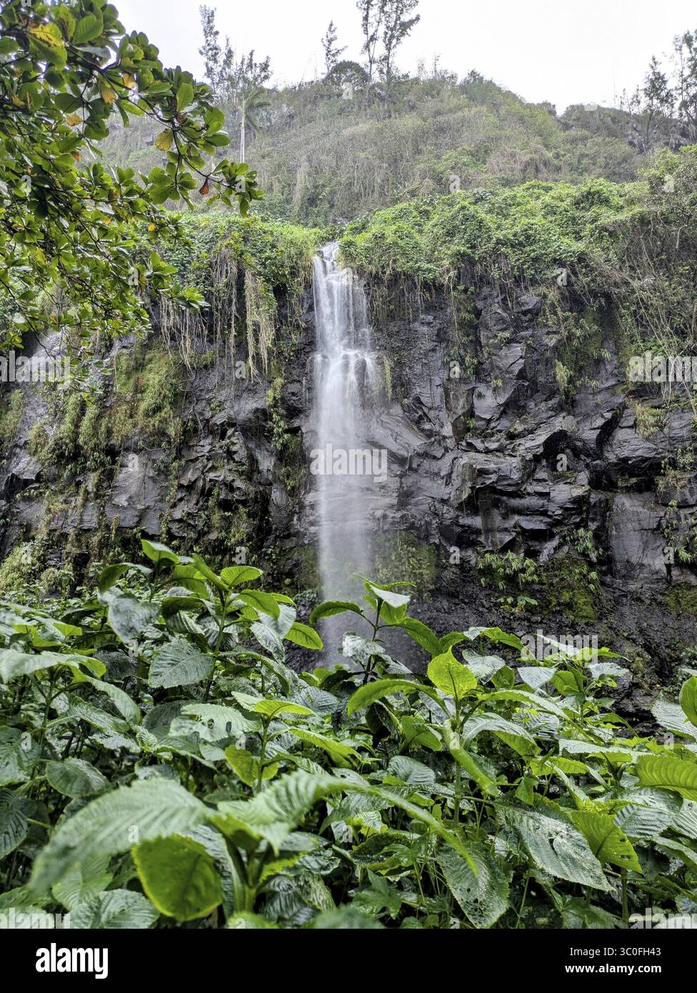Tall waterfall cascades down rocky hi-res stock photography and images ...