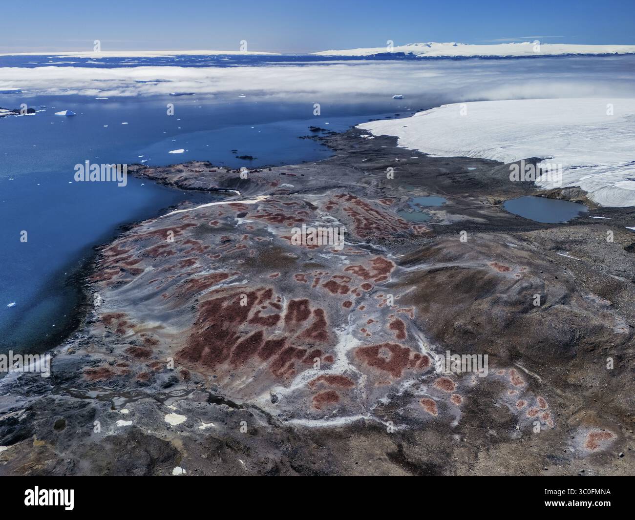 Aerial view of blood-red patches staining the barren landscape where ...